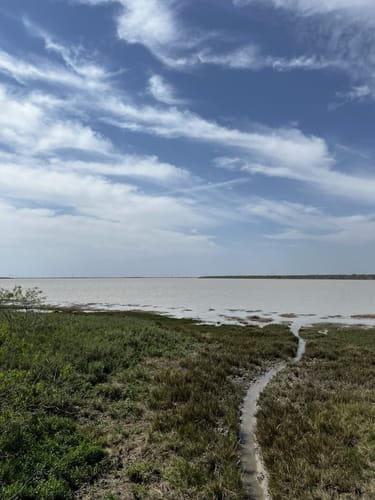 Best Hikes and Trails in Laguna Atascosa National Wildlife Refuge ...