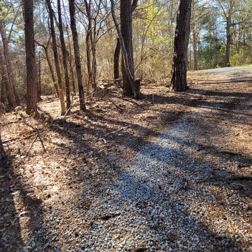 Best Hikes and Trails in Lenora Park | AllTrails