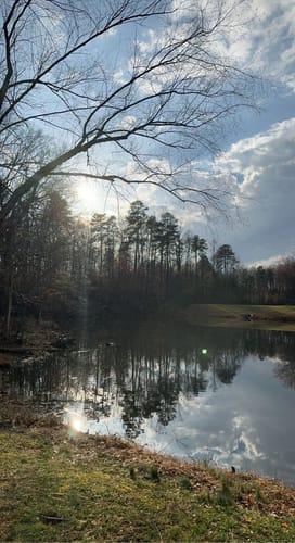 Best Hikes and Trails in Gibson Park | AllTrails