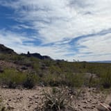 Mule Ear Spring, Texas - 399 Reviews, Map | AllTrails