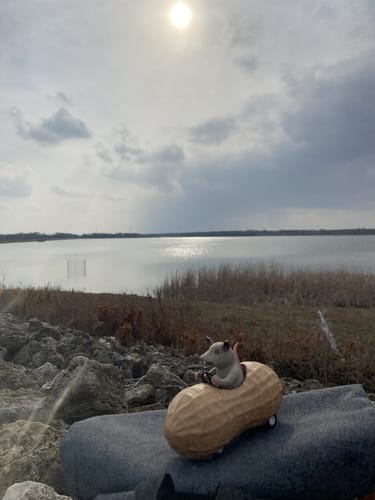 Best Hikes and Trails in Lake Bryan Park | AllTrails