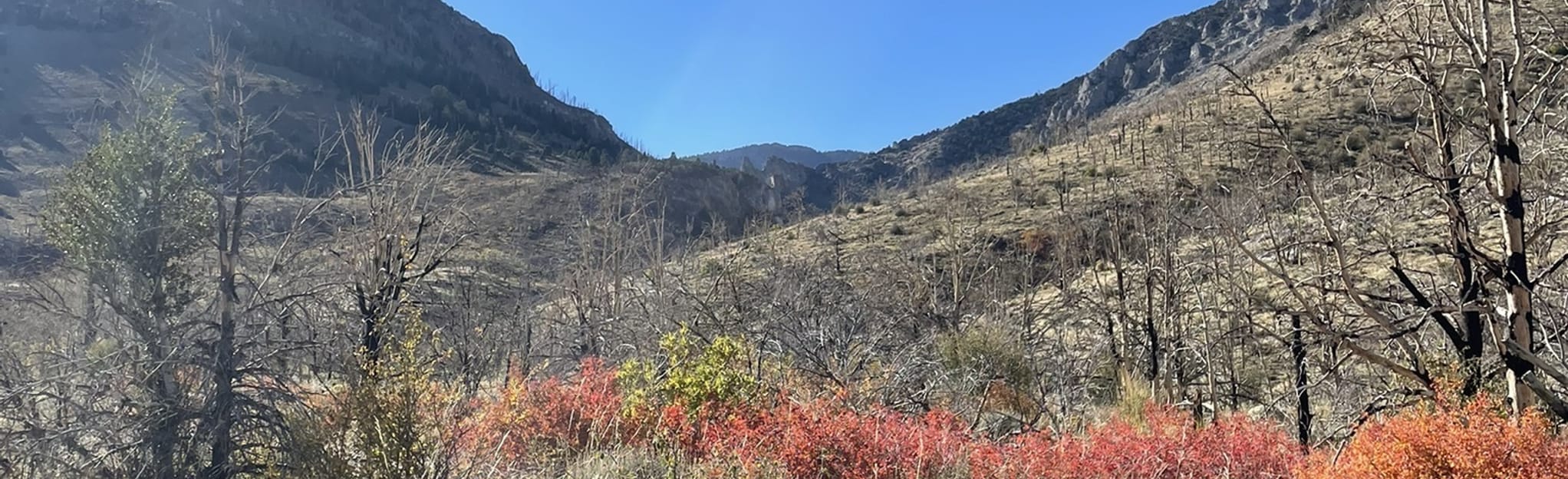 Lexington Arch Trail: 120 Reviews, Map - Nevada | AllTrails