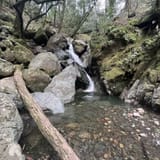 Canyon and Pony Gate Loop, California - 525 Reviews, Map | AllTrails