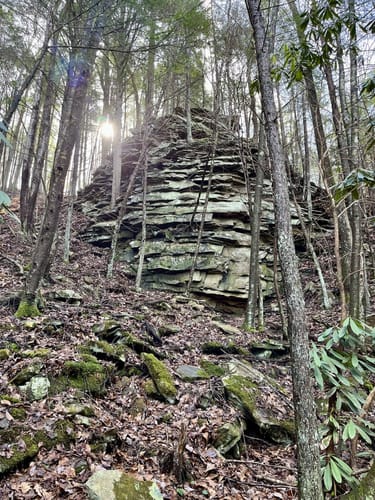 Best Hikes and Trails in Obed Wild and Scenic River | AllTrails