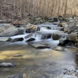 North Fork Moormans River, Virginia - 575 Reviews, Map | AllTrails