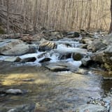 North Fork Moormans River, Virginia - 575 Reviews, Map | AllTrails