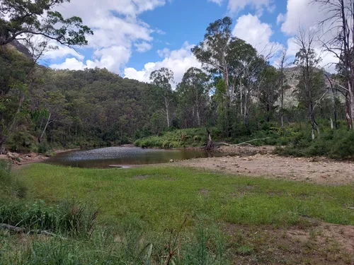 Best River Trails in Wattle Ridge | AllTrails