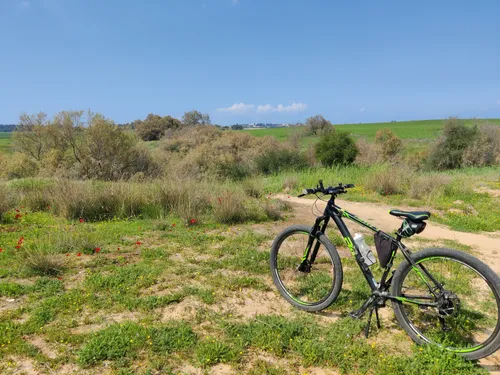 Best Hikes and Trails in Be'eri Forest | AllTrails