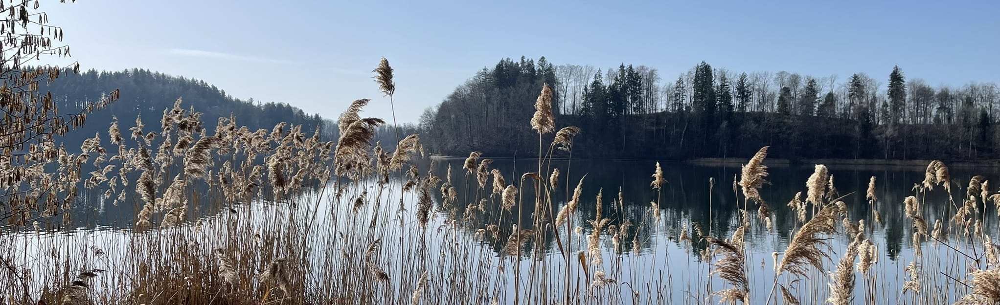 Berikon-Tuerlersee, Aargau, Switzerland - Map, Guide | AllTrails