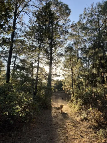 10 Best Hikes and Trails in Zona de Protección Ambiental Pico Azul - La ...
