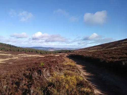 10 Best Trails, Walks, and Paths in Aboyne | AllTrails