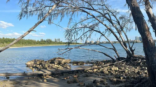 Best Hikes and Trails in Virginia Key Park | AllTrails