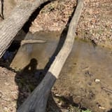 Lake Thom-a-Lex Nature Trail, North Carolina - 225 Reviews, Map | AllTrails