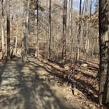 Lake Thom-a-Lex Nature Trail, North Carolina - 225 Reviews, Map | AllTrails