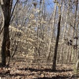 Lake Thom-a-Lex Nature Trail, North Carolina - 225 Reviews, Map | AllTrails