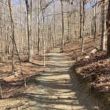 Lake Thom-a-Lex Nature Trail, North Carolina - 225 Reviews, Map | AllTrails