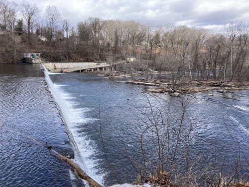 2023 Best Wild Flowers Trails in Agawam | AllTrails