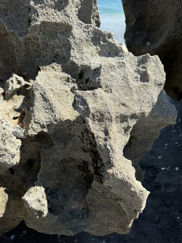 Best Hikes and Trails in Blowing Rocks Nature Preserve | AllTrails