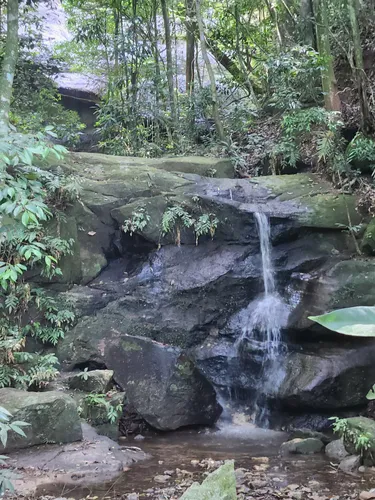 Best Hikes and Trails in Henrique Lage Park | AllTrails