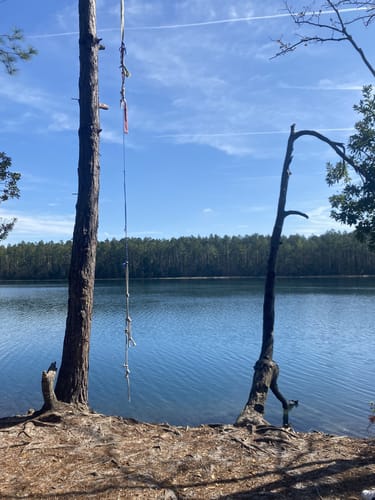 Best Hikes and Trails in William F. Sheffield Regional Park | AllTrails