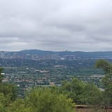 Wonderboom Hiking Trail, Gauteng, South Africa - 129 Reviews, Map ...