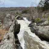 Gold Mine Loop Trail, Maryland - 943 Reviews, Map | AllTrails