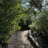 Conejo Valley Botanic Garden, California - 317 Reviews, Map | AllTrails