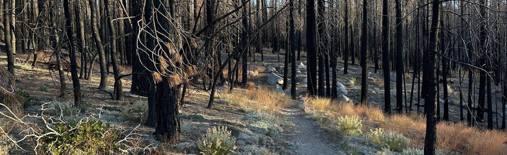 Vermilion Campground and Lake Thomas Edison: 23 Reviews, Map ...