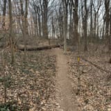 Glover-Archbold Trail, District of Columbia - 381 Reviews, Map | AllTrails