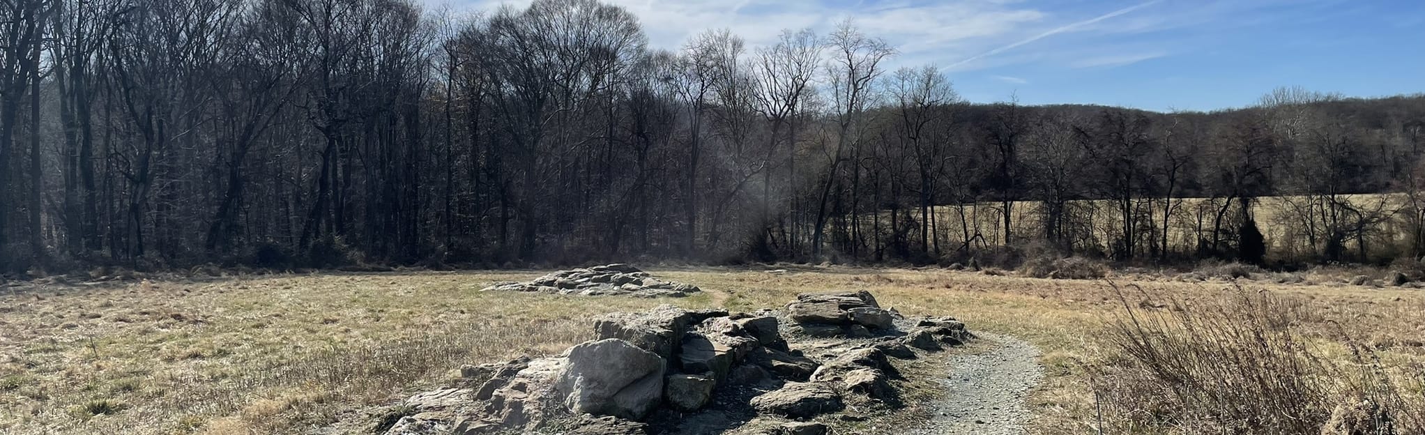 Lenape Loop South, Middle Run Natural Area, Delaware - 995 Reviews, Map ...