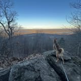 Shaupeneak Ridge Trail, New York - 432 Reviews, Map | AllTrails