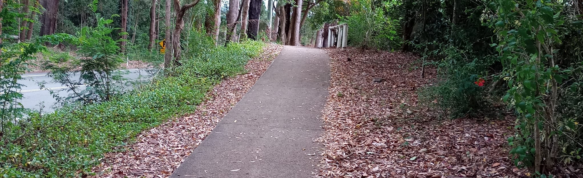 Woombye - Palmwoods Footpath, Queensland, Australia - 32 Reviews, Map ...