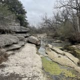 Jacob’s Well Trail, Texas - 406 Reviews, Map | AllTrails