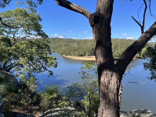 2023 Best Walking Trails in Georges River National Park | AllTrails