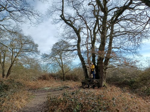 Best Hikes and Trails in Yarwell Mill Country Park | AllTrails