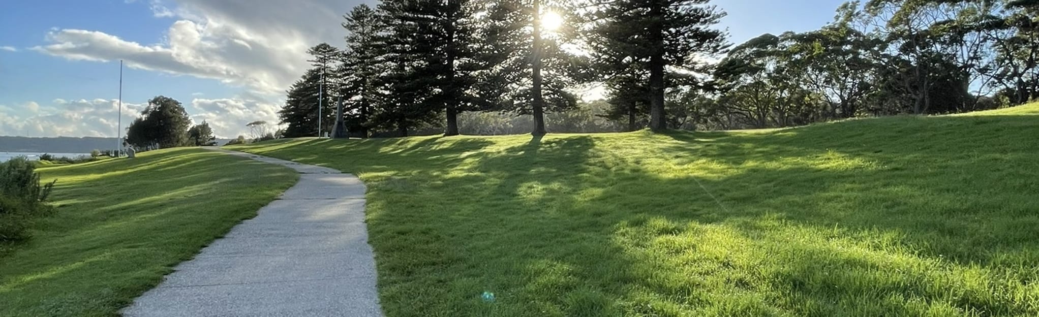 Burrawang Walk via Monument Track, New South Wales, Australia - 32 ...