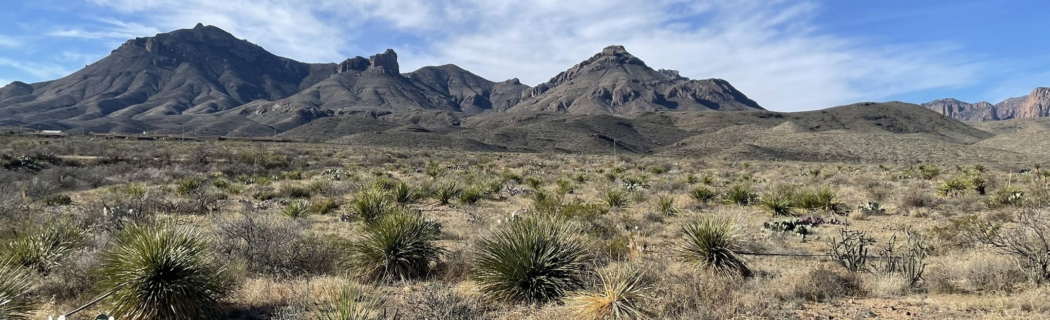 Lone Mountain Loop, Texas - 82 Reviews, Map | AllTrails