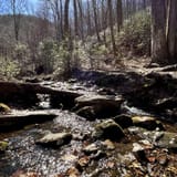 Wildcat Ridge Trail, Virginia - 201 Reviews, Map | AllTrails