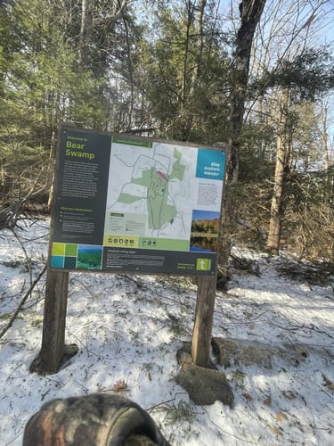Best Hikes and Trails in Bear Swamp | AllTrails