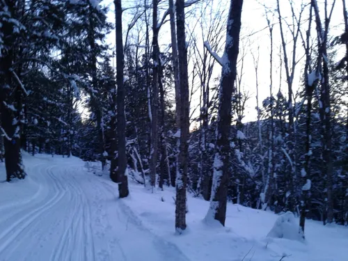 Best Hikes and Trails in Hardwick Trails | AllTrails