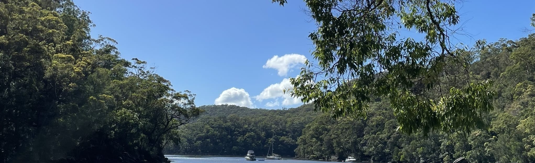 Mount Ku-ring-gai Track to Berowra Station [CLOSED], New South Wales ...