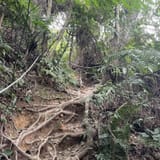 Mount Ishikawa Loop, Okinawa, Japan - 216 Reviews, Map | AllTrails