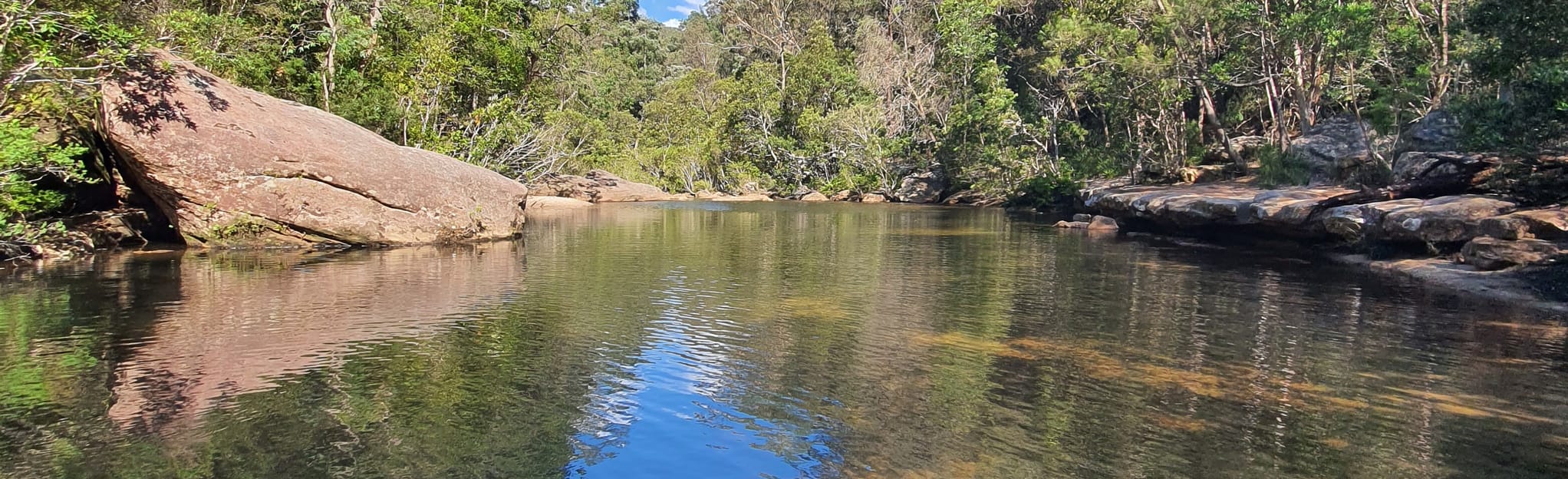 Sassafras Gully, Victory Track, and Magdala Gully Loop, 920 Fotos - New ...
