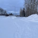Chena Riverwalk, Alaska - 83 Reviews, Map | AllTrails