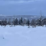 Chena Riverwalk, Alaska - 83 Reviews, Map | AllTrails