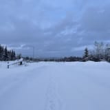 Chena Riverwalk, Alaska - 83 Reviews, Map | AllTrails