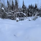 Chena Riverwalk, Alaska - 83 Reviews, Map | AllTrails