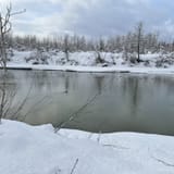 Chena Riverwalk, Alaska - 83 Reviews, Map | AllTrails
