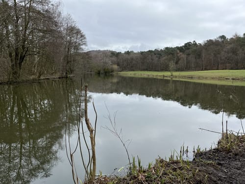 Timbersbrook: Die schönsten Wege und Wanderungen in 2023 | AllTrails