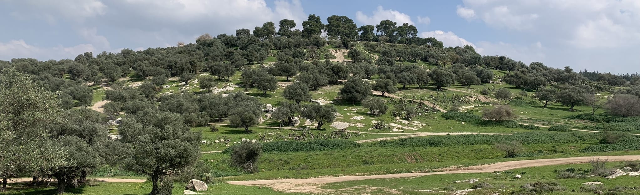 Tel Hadid and Natuf Stream, Central District HaMerkaz, Israel - 162 ...